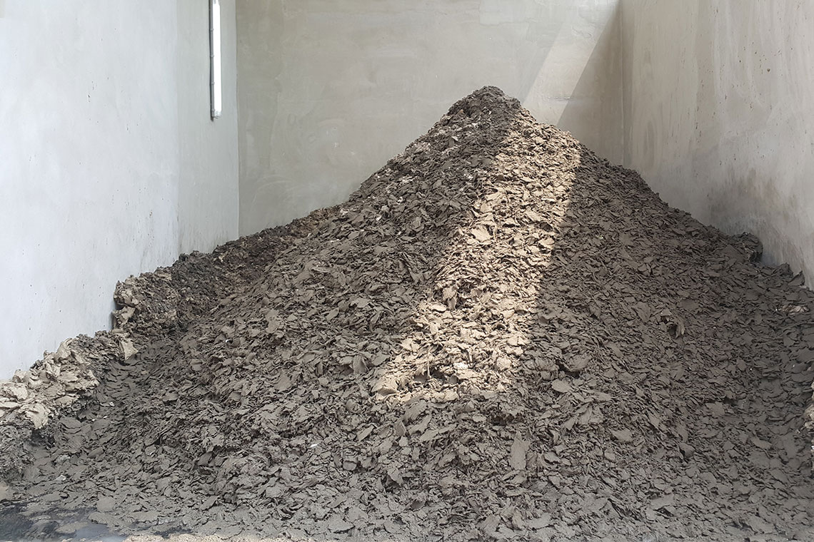 Sewage sludge incineration in Germany and the possibilities for ...